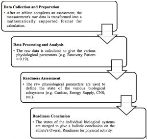 Ask Omegawave: The “Expert System” – Omegawave